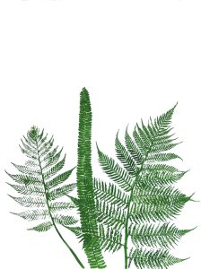 Explore the Art of Mark Rowden – Limited Edition Lino Prints - Mark Rowden