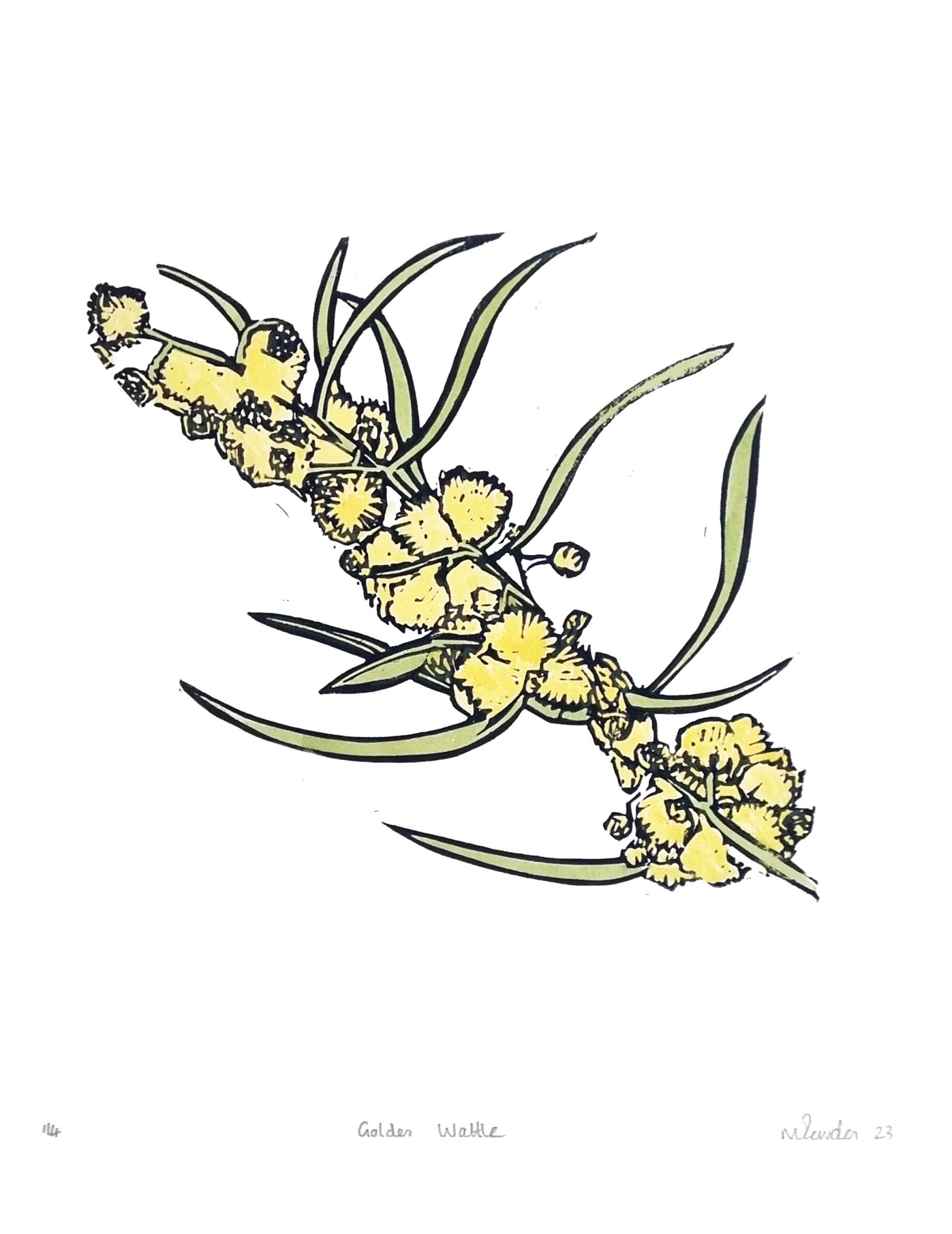 Prints – Mark Rowden