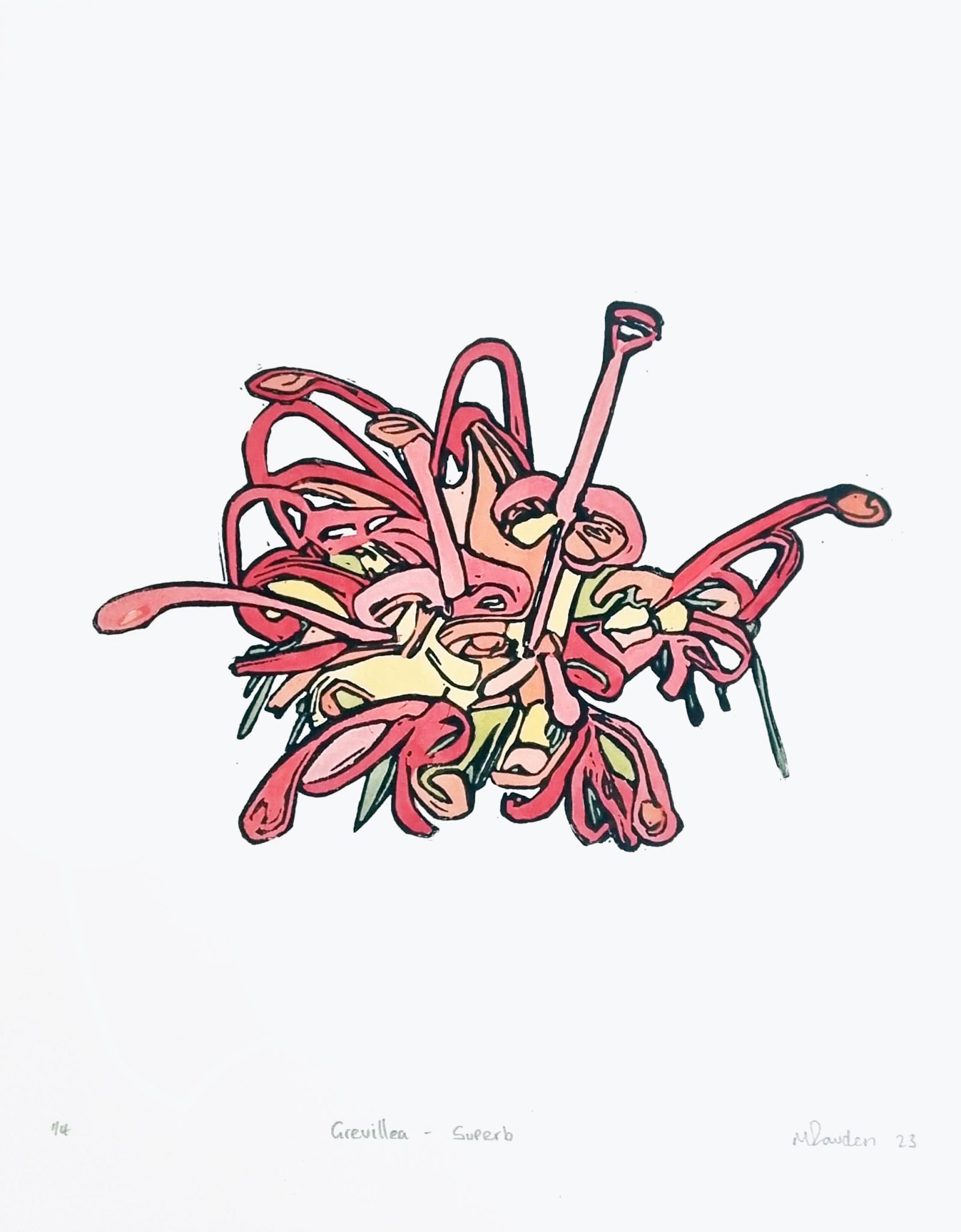 Prints – Mark Rowden