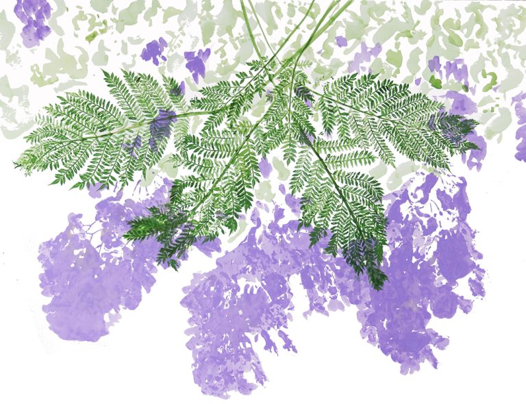 Mark Rowden - Artist - Printmaker